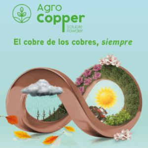AGROCOPPER SP (1 KG) - Outlet Anasac